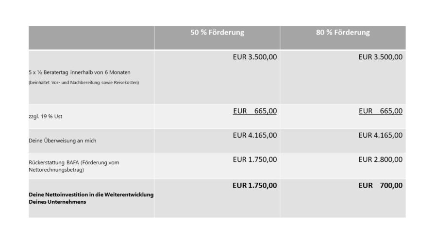 Was ist eine BAFA-geförderte Unternehmensberatung und wer kann davon ...